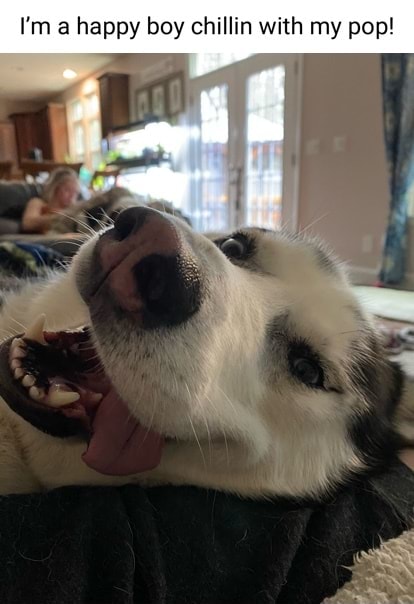 I'm a happy boy chillin with my pop! . rt - America’s best pics and videos