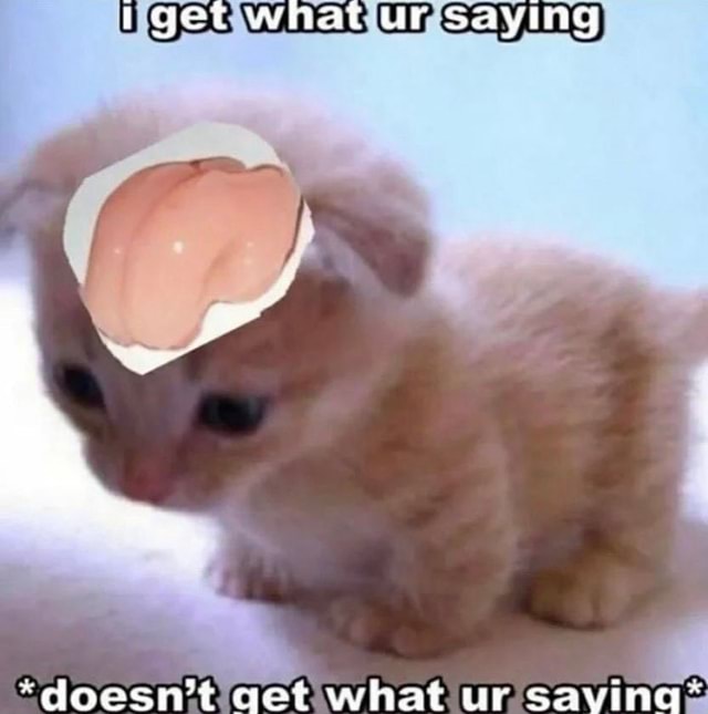 Wrinkly brain very ugly. smooth brain very cute!! - Iget what ur saying ...