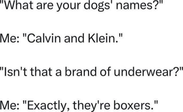 'What are your dogs names?" Me: "Calvin and Klein." "Isn't that a brand ...
