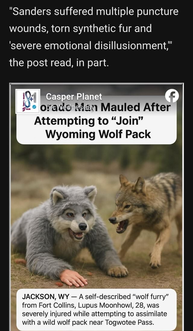 "Sanders suffered multiple puncture wounds, torn synthetic fur and ...