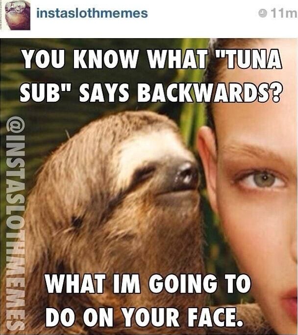 Instaslothmemes YOU KNOW WHAT "TUNA SUB" SAYS BACKWARDS ...
