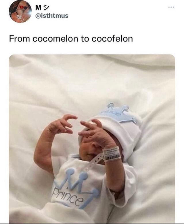 From cocomelon to cocofelon - America’s best pics and videos