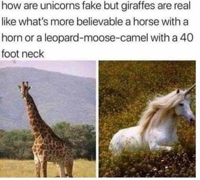 How are unicorns fake but giraffes are real like what's more believable ...