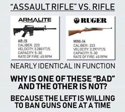 "ASSAULT RIFLE" VS. RIFLE ARMALITE @RUGER AR-I5 MINI-14 CALI 223 ...