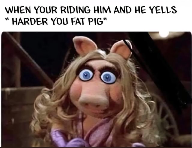 WHEN YOUR RIDING HIM AND HE YELLS " HARDER YOU FAT PIG" - America’s ...