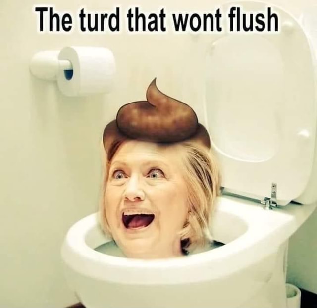 The turd that wont flush - America’s best pics and videos