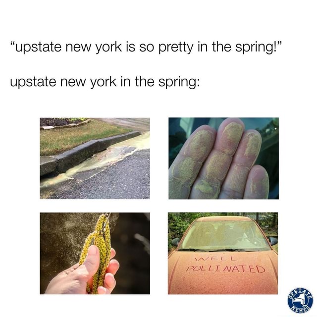 "upstate new york is so pretty in the spring!" upstate new york in the ...