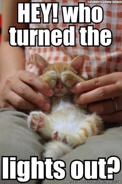 SATOMIEASaNeAy NES turned the lights out? - America’s best pics and videos