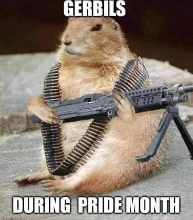 GERBIES DURING PRIDE MONTH - America’s best pics and videos