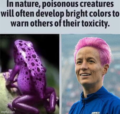 In nature, poisonous creatures will often develop bright colors to warn ...