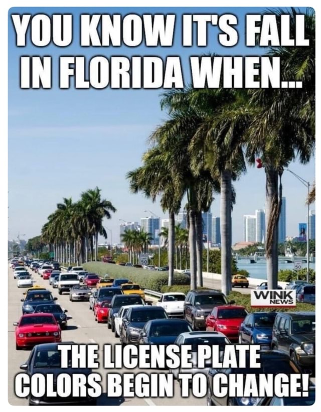 YOU KNOW IT'S FALL IN FLORIDA WHEN... THE LICENSE PLATE COLORS BEGIN TO ...