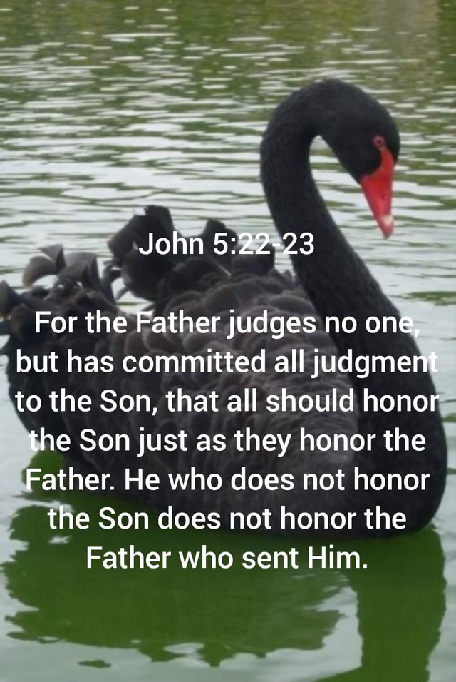 John For the Father judges no one, but has committed all judgment to ...