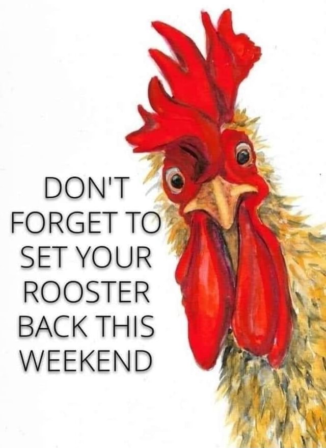 DON'T FORGET TO% SET YOUR ROOSTER BACK THIS WEEKEND - America’s best ...