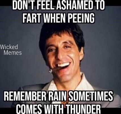 DON'T FEEL ASHAMED TO FART WHEN PEEING Wicked Memes REMEMBER RAIN ...