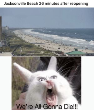 Georgia Be Like - ites after reopening - America’s best pics and videos