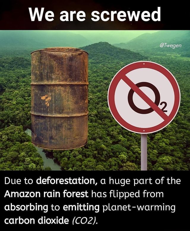 We are screwed @ny CGETT Due to deforestation, a huge part of the ...