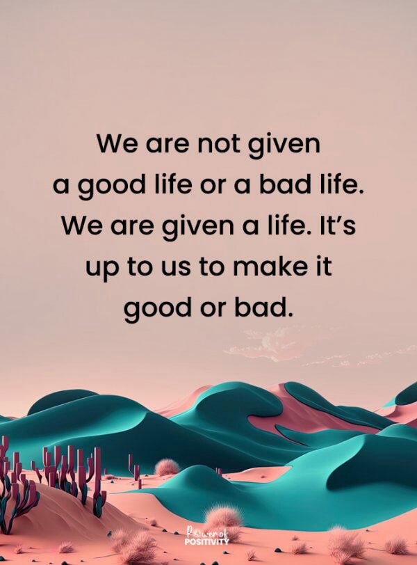 We are not given a good life or a bad life. We are given a life. It's ...