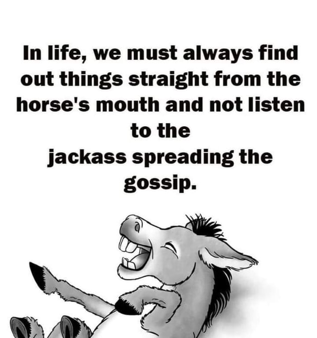 In life, we must always find out things straight from the horse's mouth ...