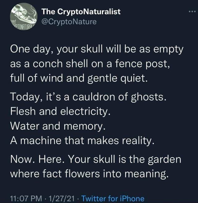 One day, your skull will be as empty as a conch shell on a fence post ...