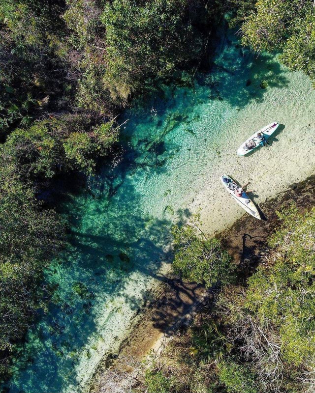 Weeki Wachee Springs State Park, Florida 😍 🌐 travelloapp.app.link ...