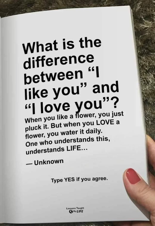 What is the difference between like you" and love ou'? When you like a ...