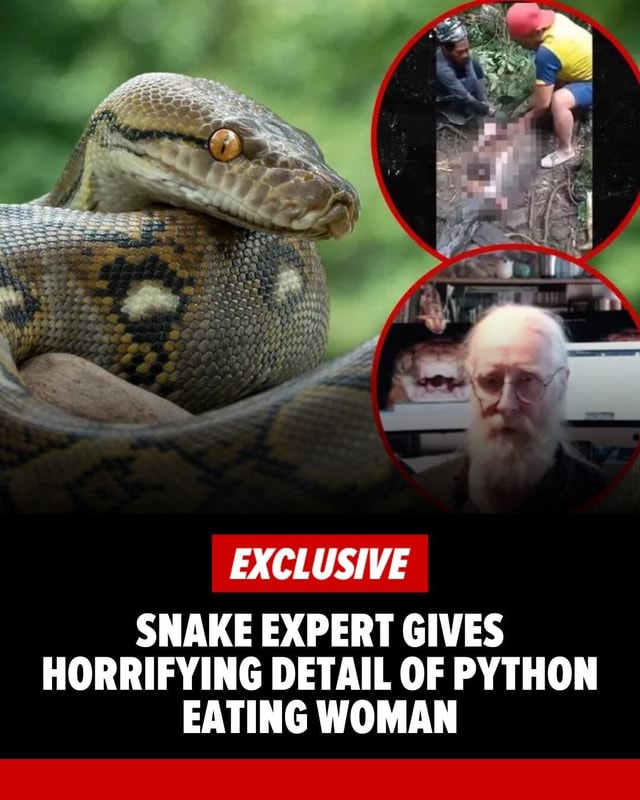 The shocking video aftermath of an Indonesian woman's death by python ...