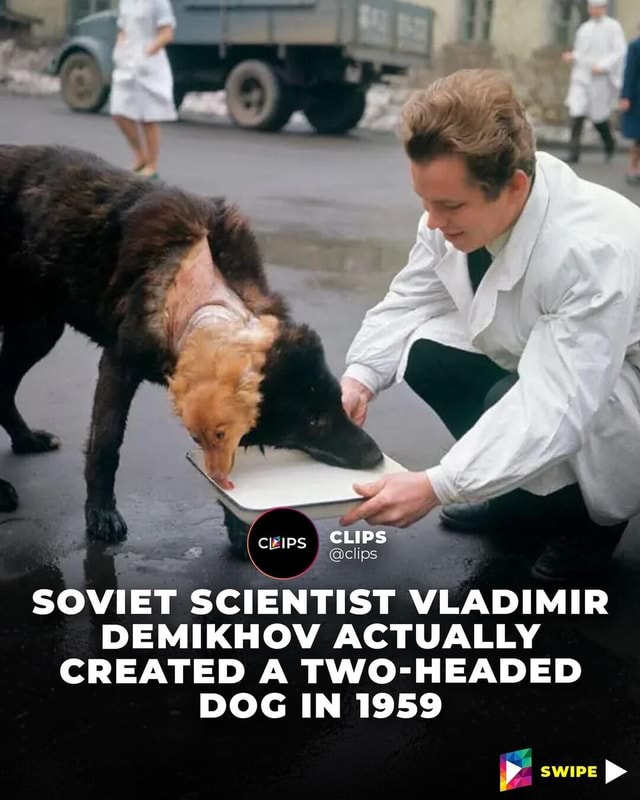 In the 1950s, Soviet doctor Vladimir Demikhov conducted a series of ...