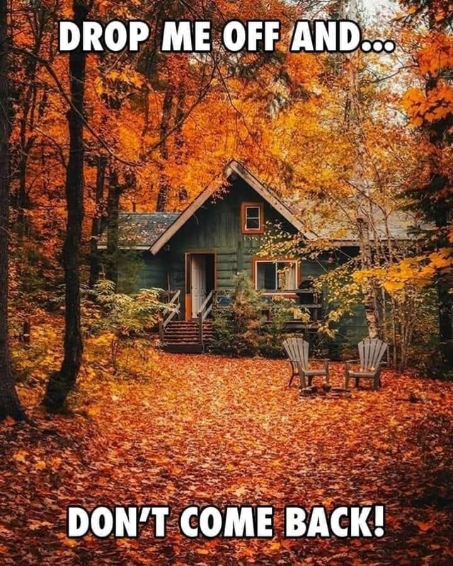 DROP ME OFF AND... DON'T COME BACK! - America’s best pics and videos