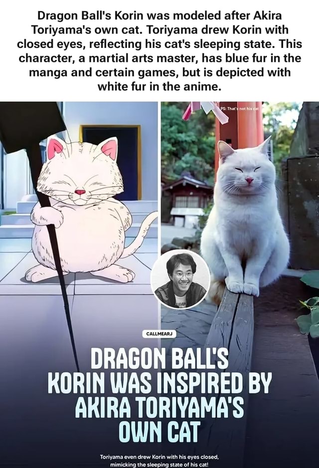 Dragon Ball's Korin was modeled after Akira Toriyama's own cat ...