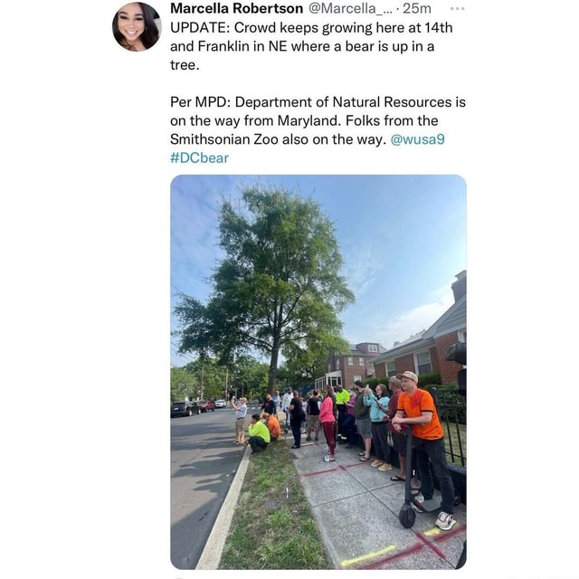 DC loves a good animal sighting 😂 - Marcella Robertson @Marcella ...