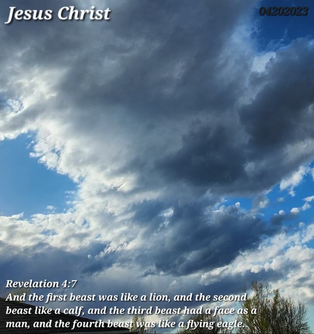 Jesus Christ Revelation And the first beast was like a lion, and the ...
