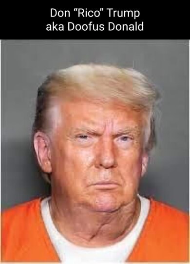 Don "Rico" Trump aka Doofus Donald - America’s best pics and videos