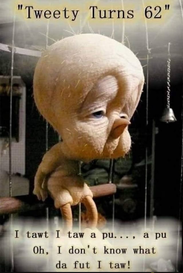 "Tweety Turns 62" I tawt IT taw a pu..., a pu * Oh, I don't know what ...