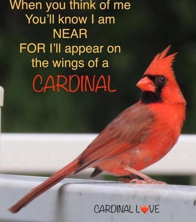 When you think of me You'll know I am NEAR FOR I'll appear on the wings ...