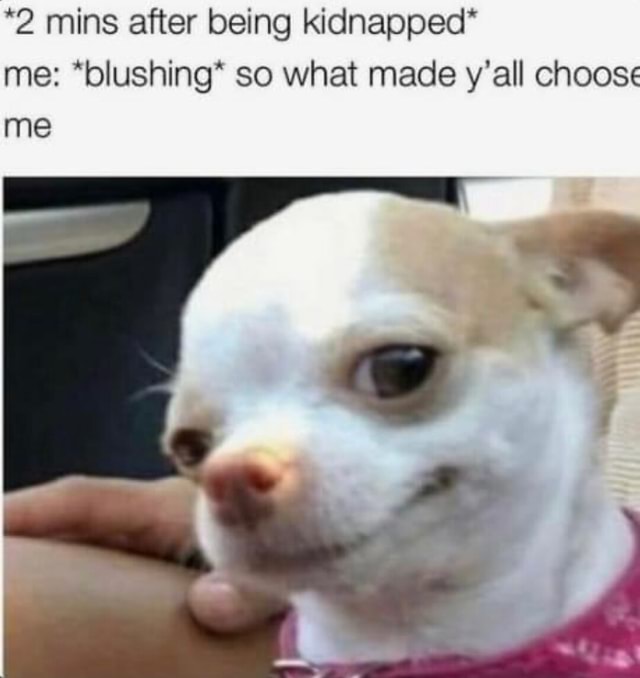 *2 mins after being kidnapped* me: *blushing* so what made y'all choose ...