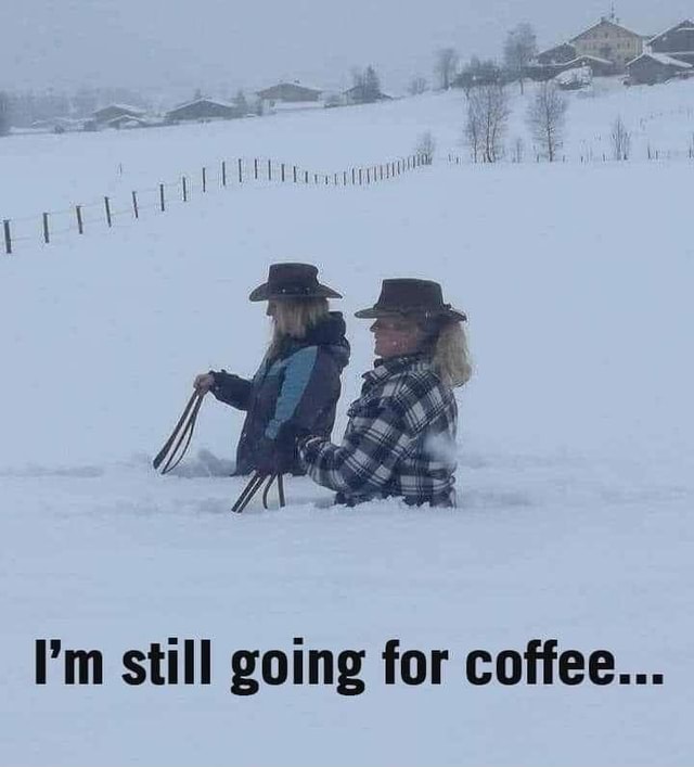 I'm still going for coffee... - America’s best pics and videos