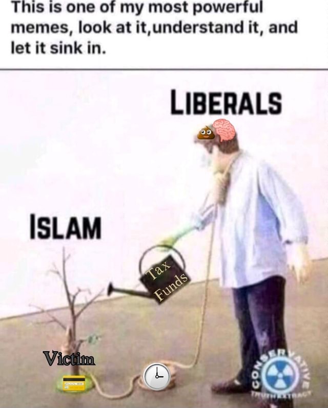 This IS one of my most powerful memes, look at it, understand it, and ...
