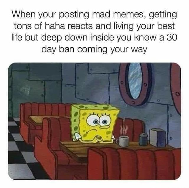 When your posting mad memes, getting tons of haha reacts and living ...