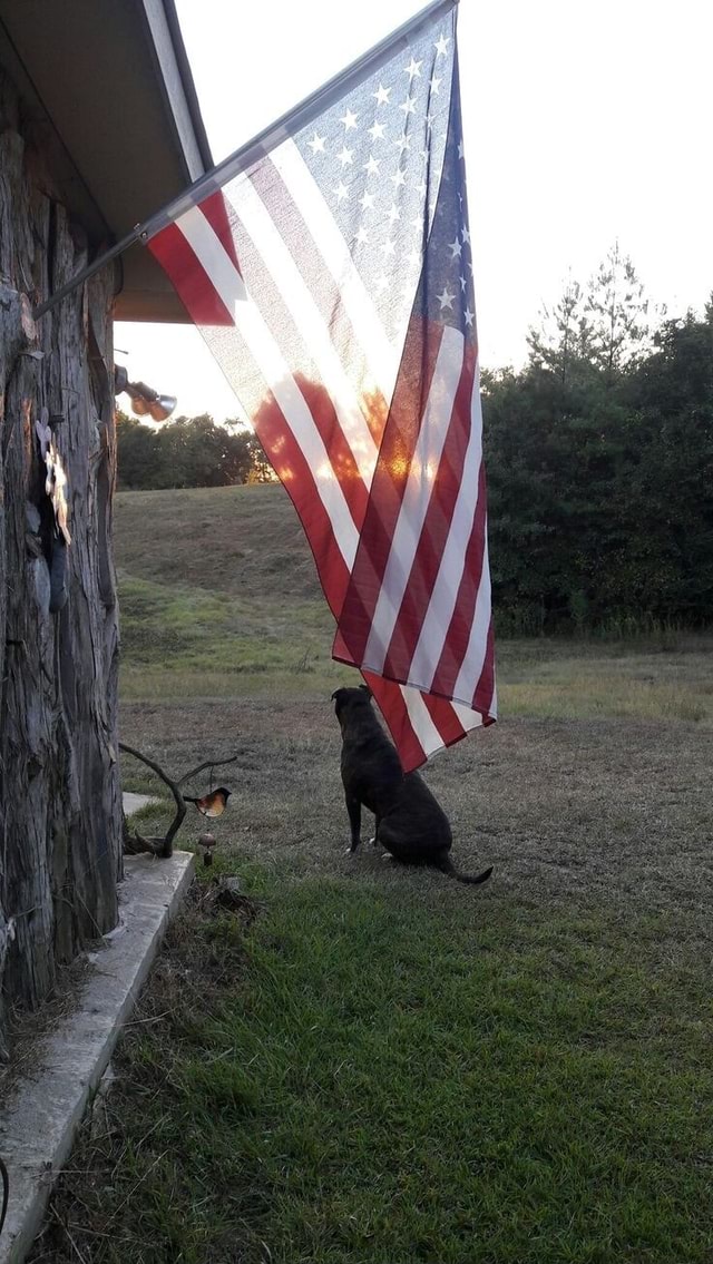 Picture memes x2GA9DNLB by CriticalDrinker: 1 comment - America’s best pics and videos