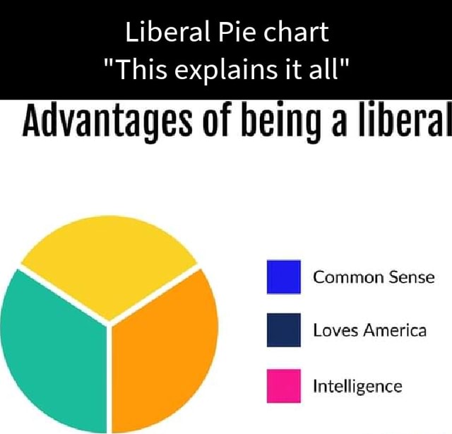 Liberal Pie chart "This explains it all" Advantages of being a liberal ...