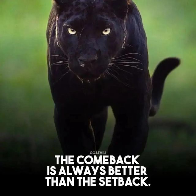 THE COMEBACK IS ALWAYS BETTER THAN THE SETBACK. - America’s best pics ...