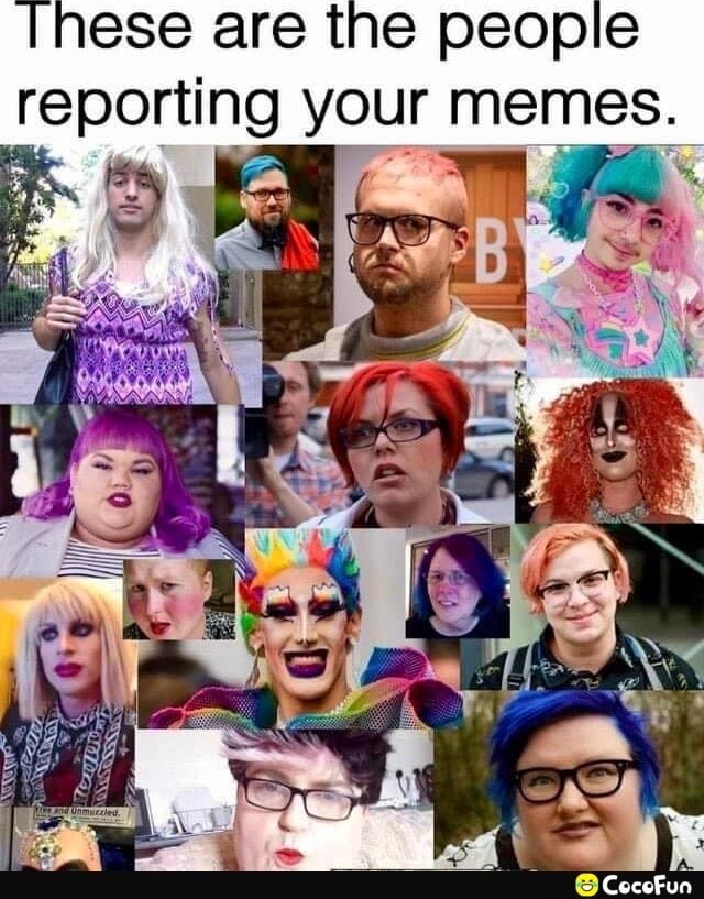 These are the people reporting your memes. 4 Re Bo - America’s best ...