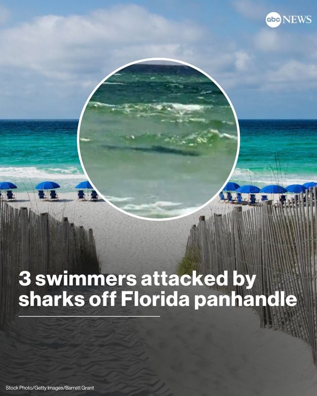 Three swimmers, including two teens, were attacked by sharks in two ...