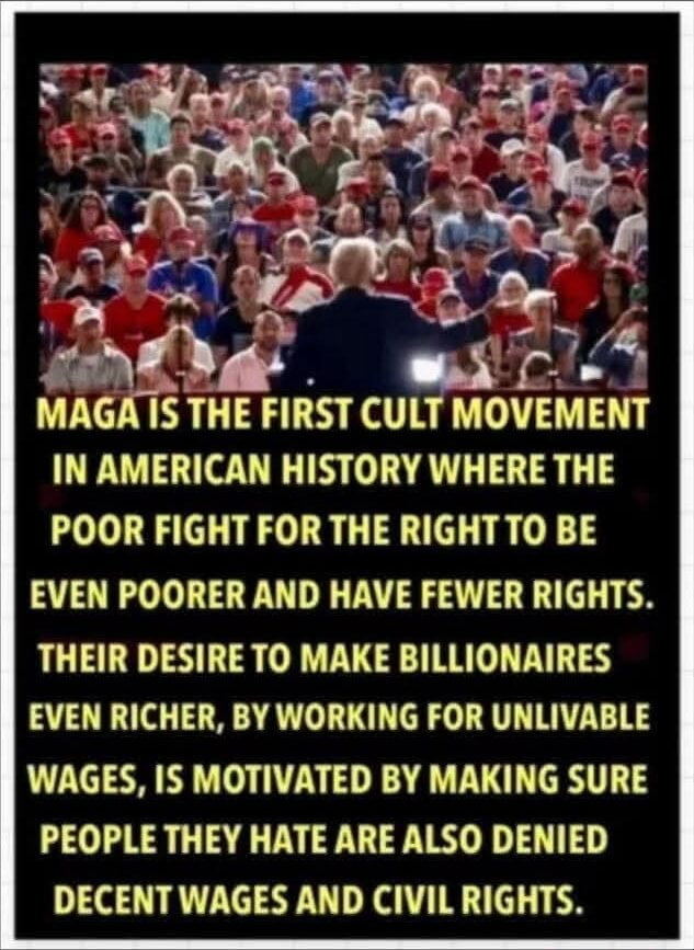 I THE MAGA IS THE FIRST CULT MOVEMENT IN AMERICAN HISTORY WHERE THE ...