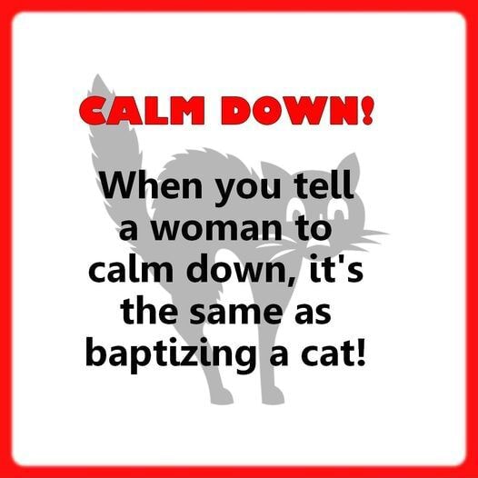 You better not tell a woman to "calm down"... 🥺 #funny #humour #cat # ...