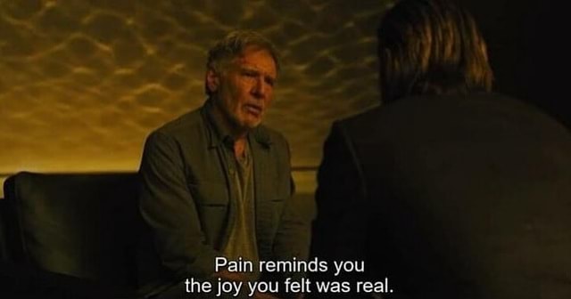 🖤🥺 —Blade Runner 2049 🎬 - Pain reminds you the joy you felt was real ...