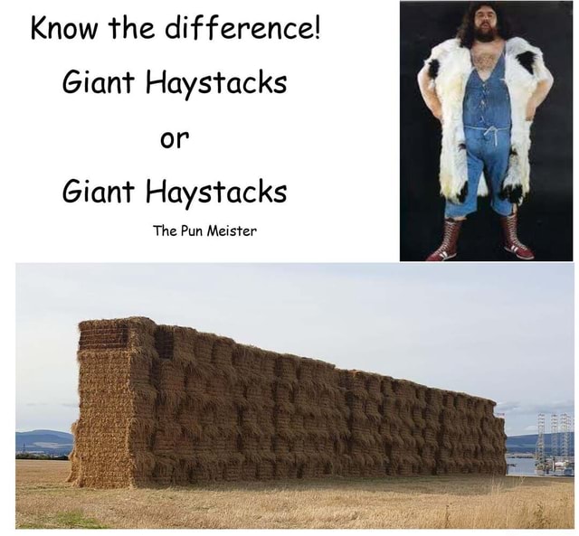 @The Pun Meister Know the Difference! - Know the difference! Giant ...