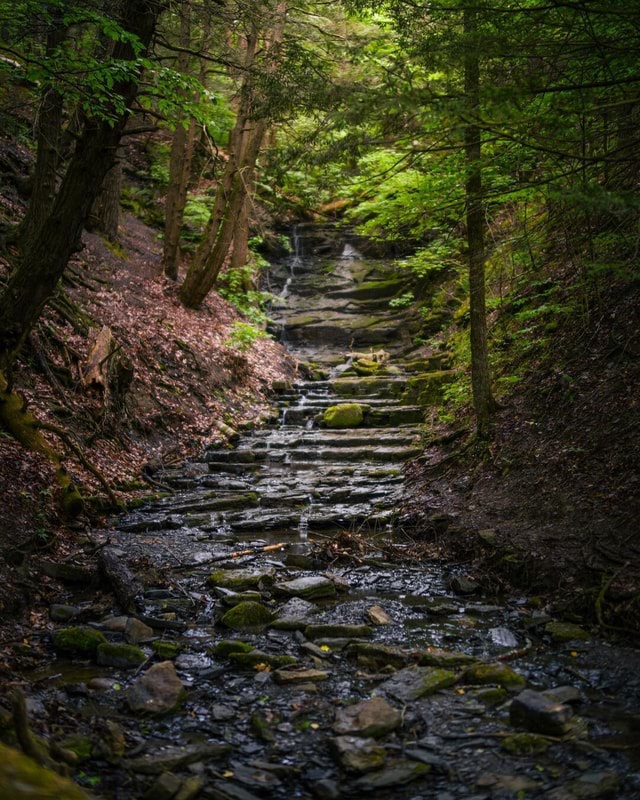 Deep in the hundred-acre wood, you'll find the enchanted neighborhood ...
