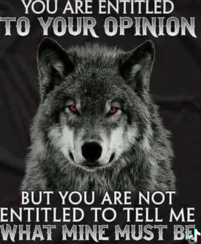 YOU ARE ENTITLED TO YOUR OPINION BUT YOU 'ARE RE NOT ENTITLED TO TELL ...
