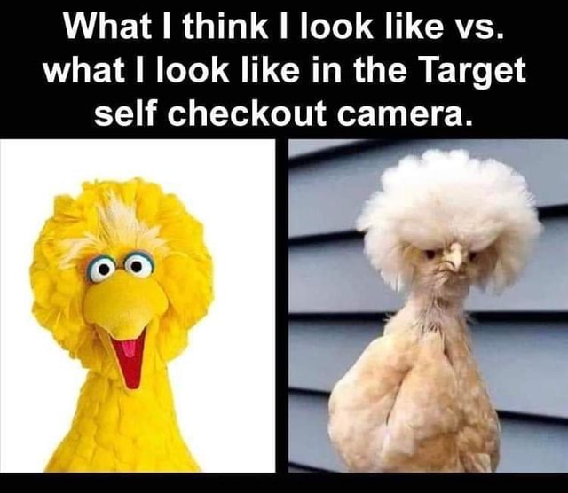 What think look like vs. what look like in the Target self checkout ...